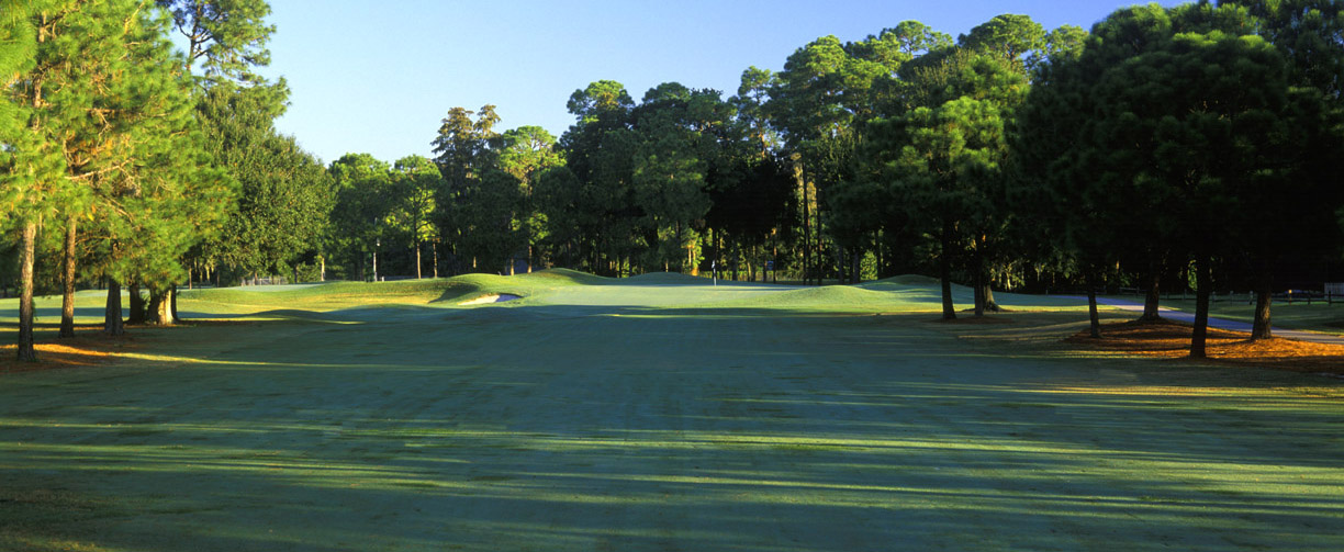 Home - Lansbrook Golf Club